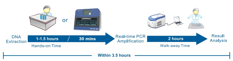 MTHFR Gene HRM Real-time PCR Kit – บริษัท เฟิร์สลี่เทค จำกัด ได้ถูก ...